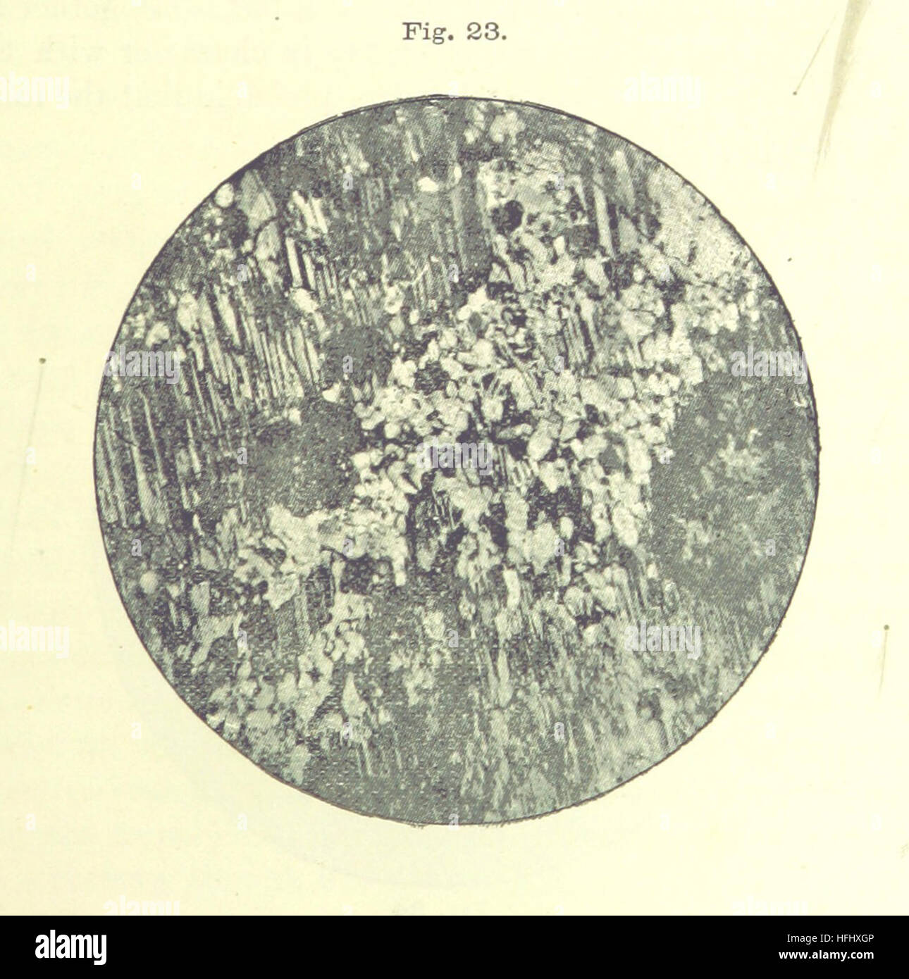 A detailed study of British petrography, focusing on igneous rocks and ...