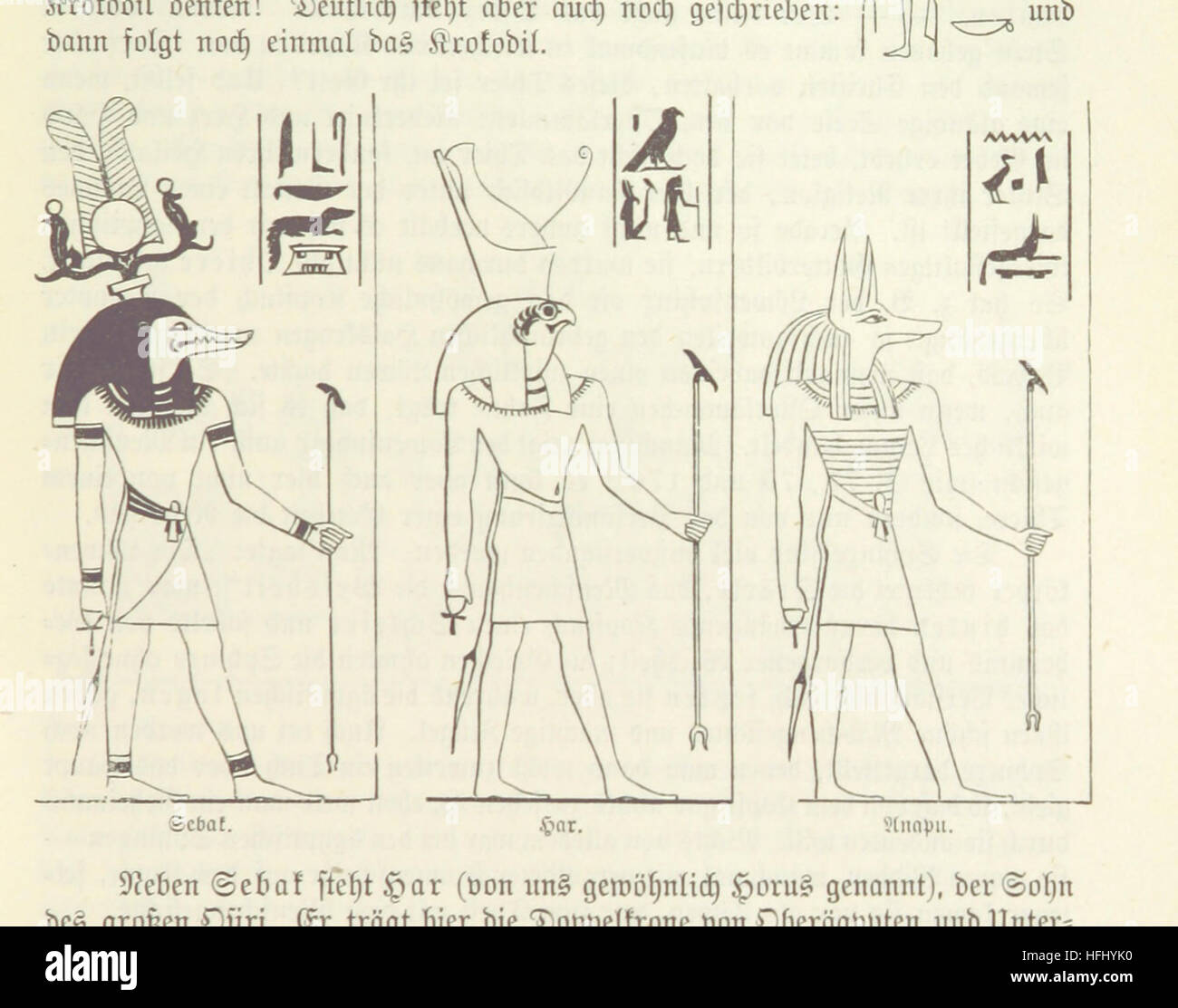 A detailed study of Egypt's pyramids, including historical background ...