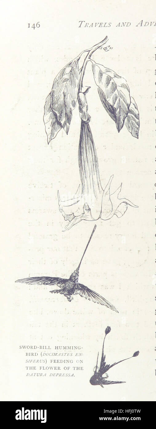 This image from 'Travels and Adventures of an Orchid Hunter ...