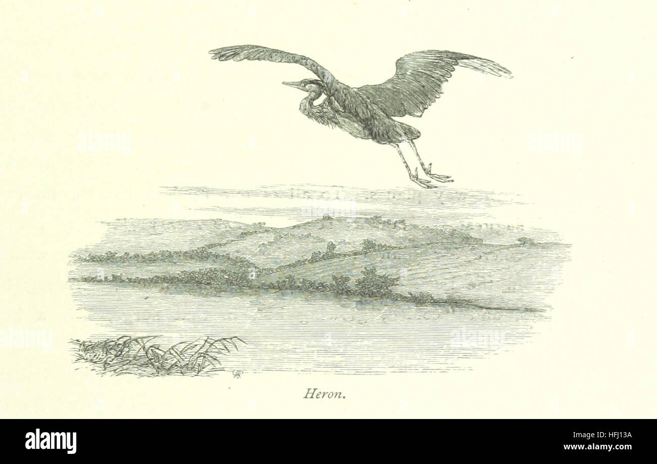 Illustration from 'Life on the Upper Thames,' showcasing the life ...