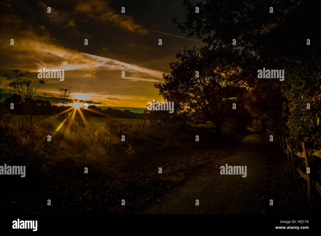 The fog in the Kent countryside around Cobham in Kent shows beautiful ...