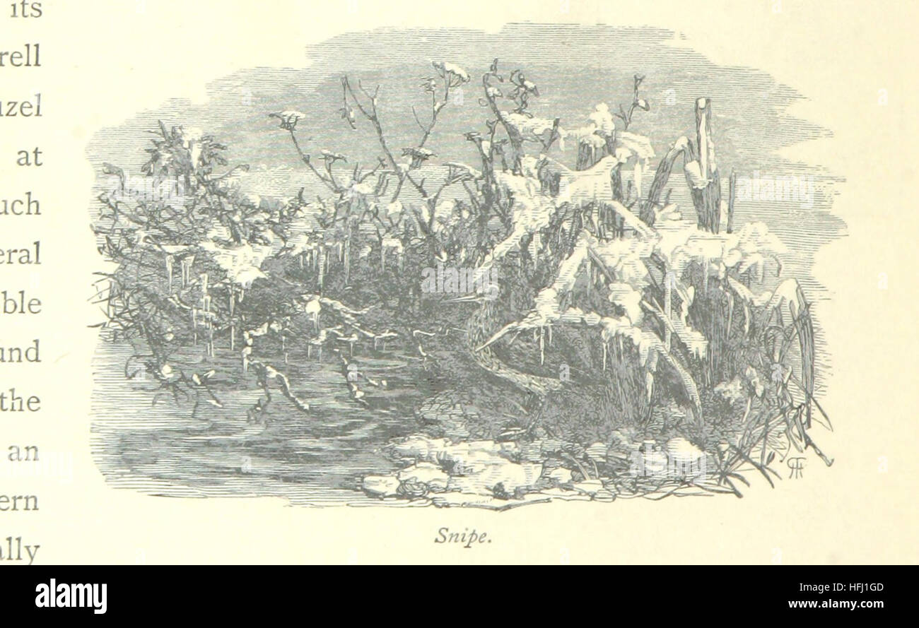 A detailed exploration of the River Thames, tracing its course from ...