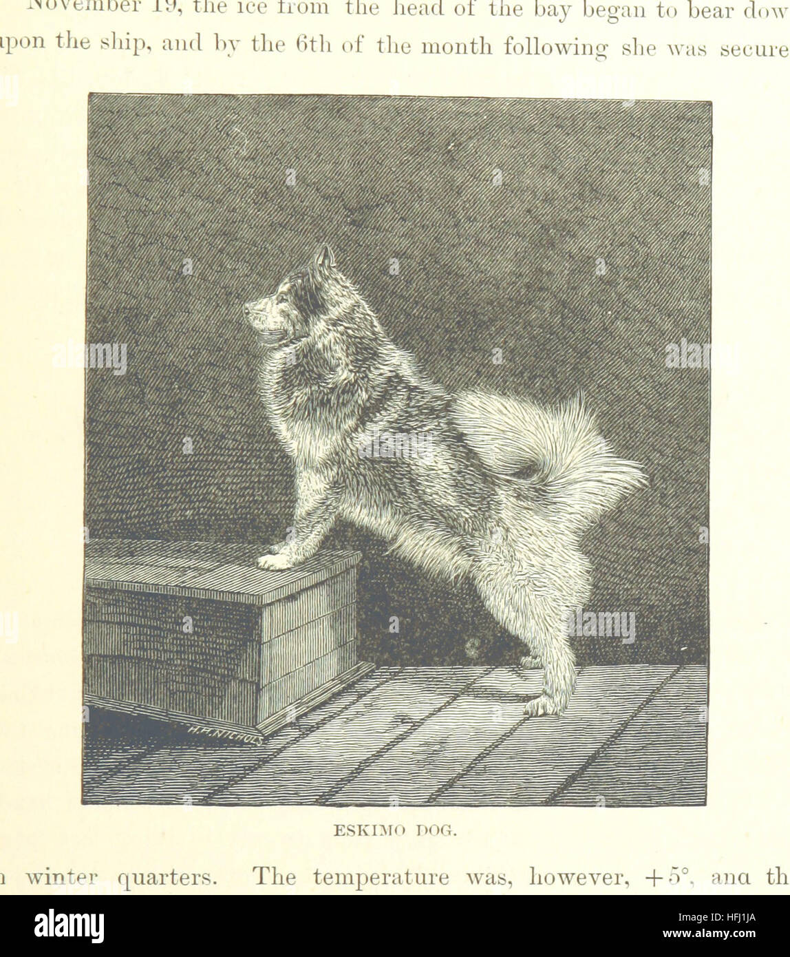 An exploration of American ventures in the ice zones, with a focus on ...