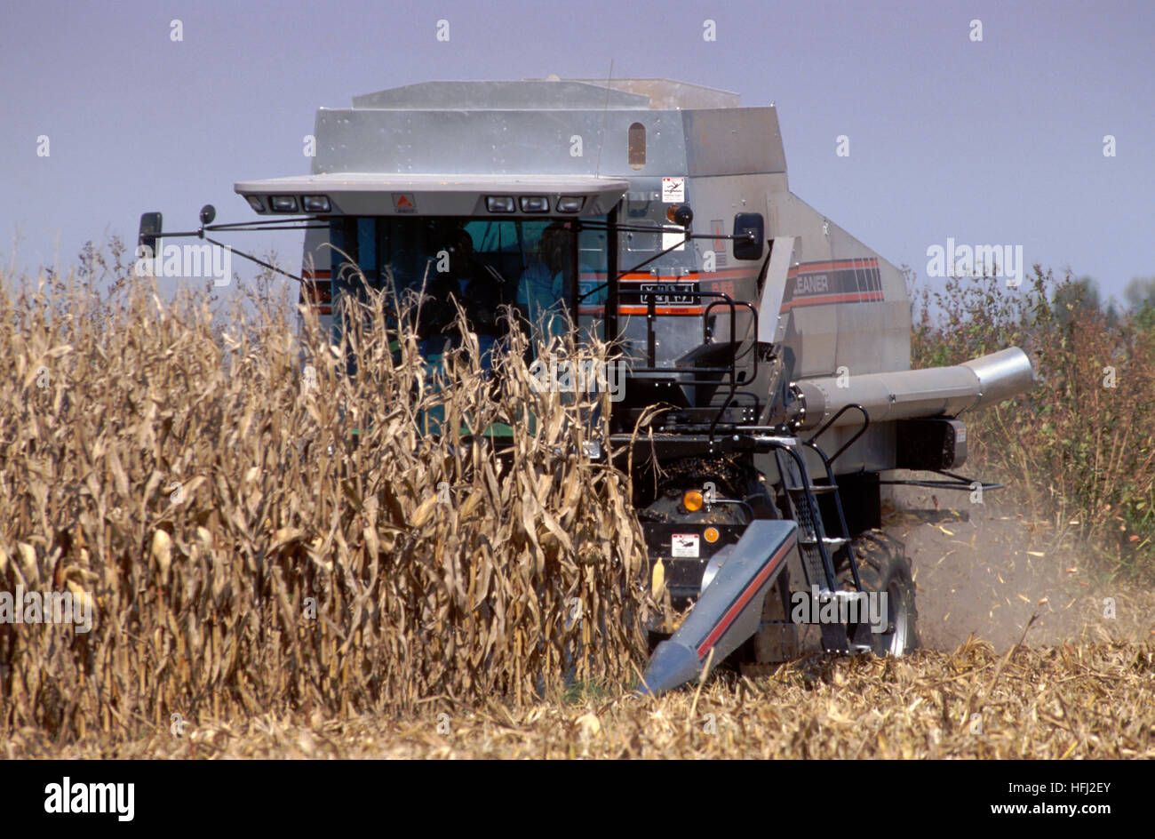A combine harvester cuts corn stalks on a midwestern US farm Stock ...