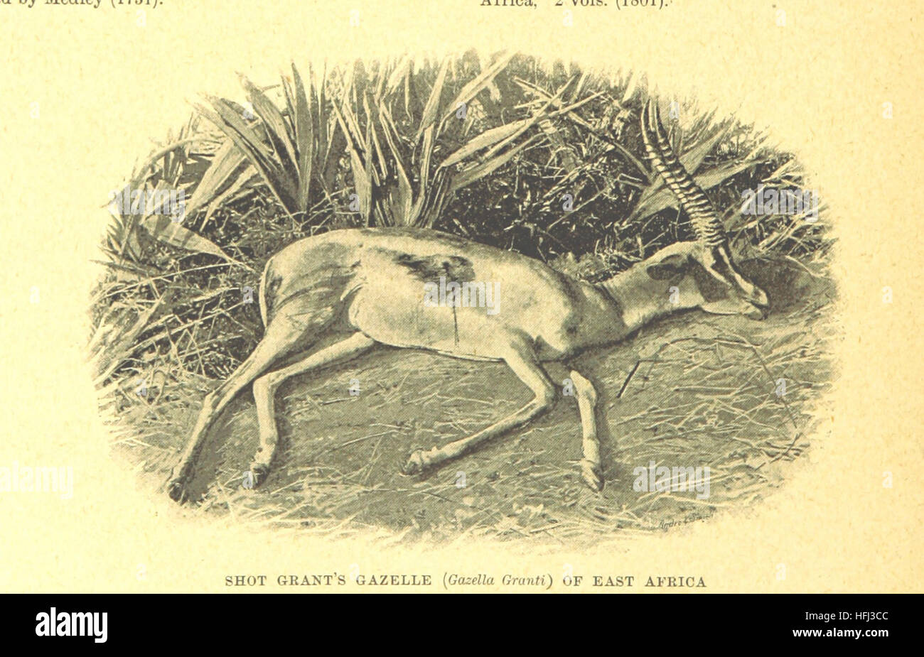 This image is from 'The Story of Africa and its Explorers,' detailing ...