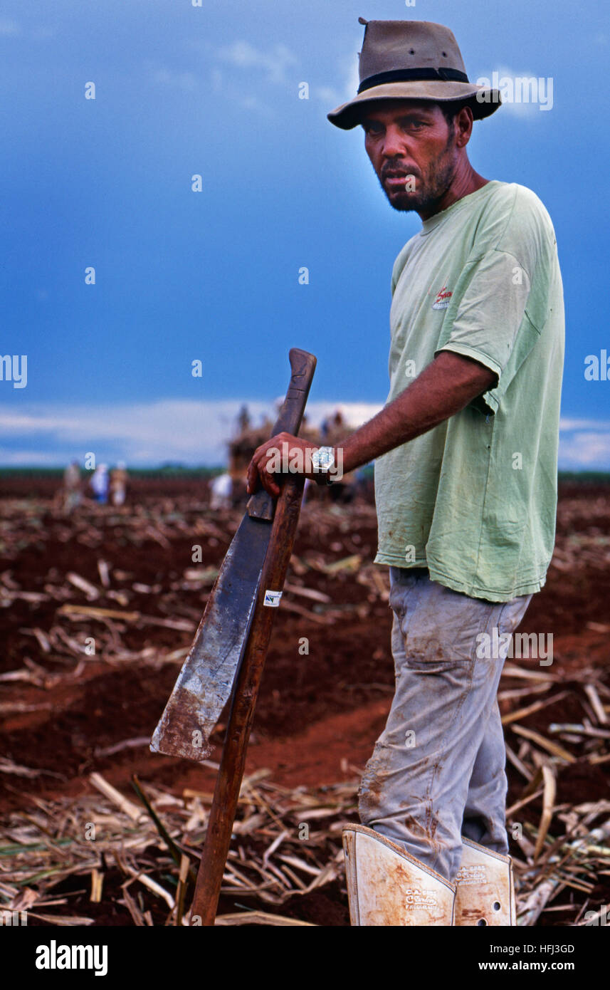 Sugar Cane Field Workers High Resolution Stock Photography and Images ...
