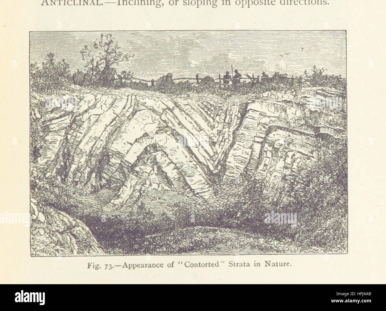 This image is taken from page 203 of 'This World of Ours,' an ...