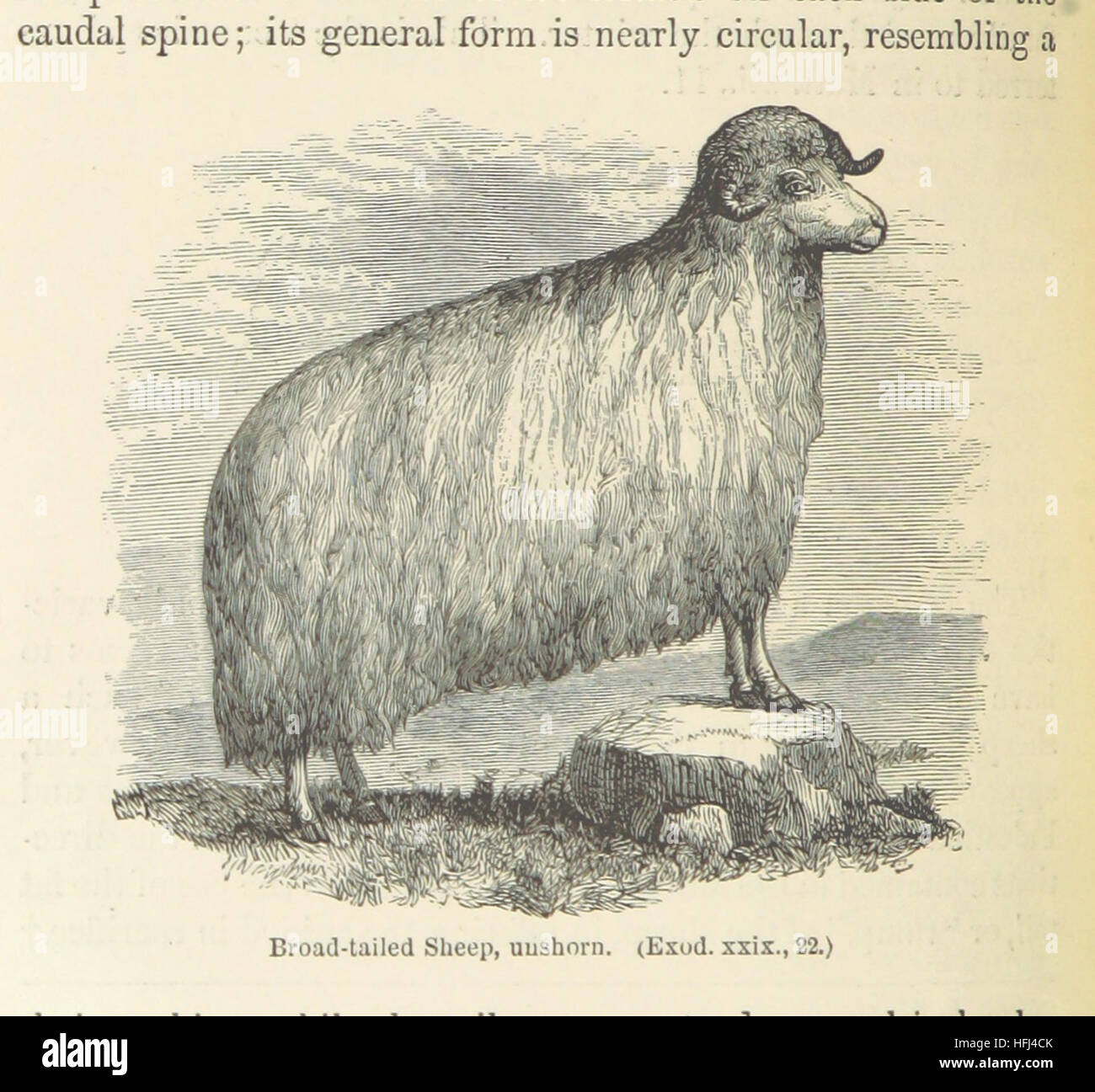 Image showing modern customs hi-res stock photography and images - Alamy