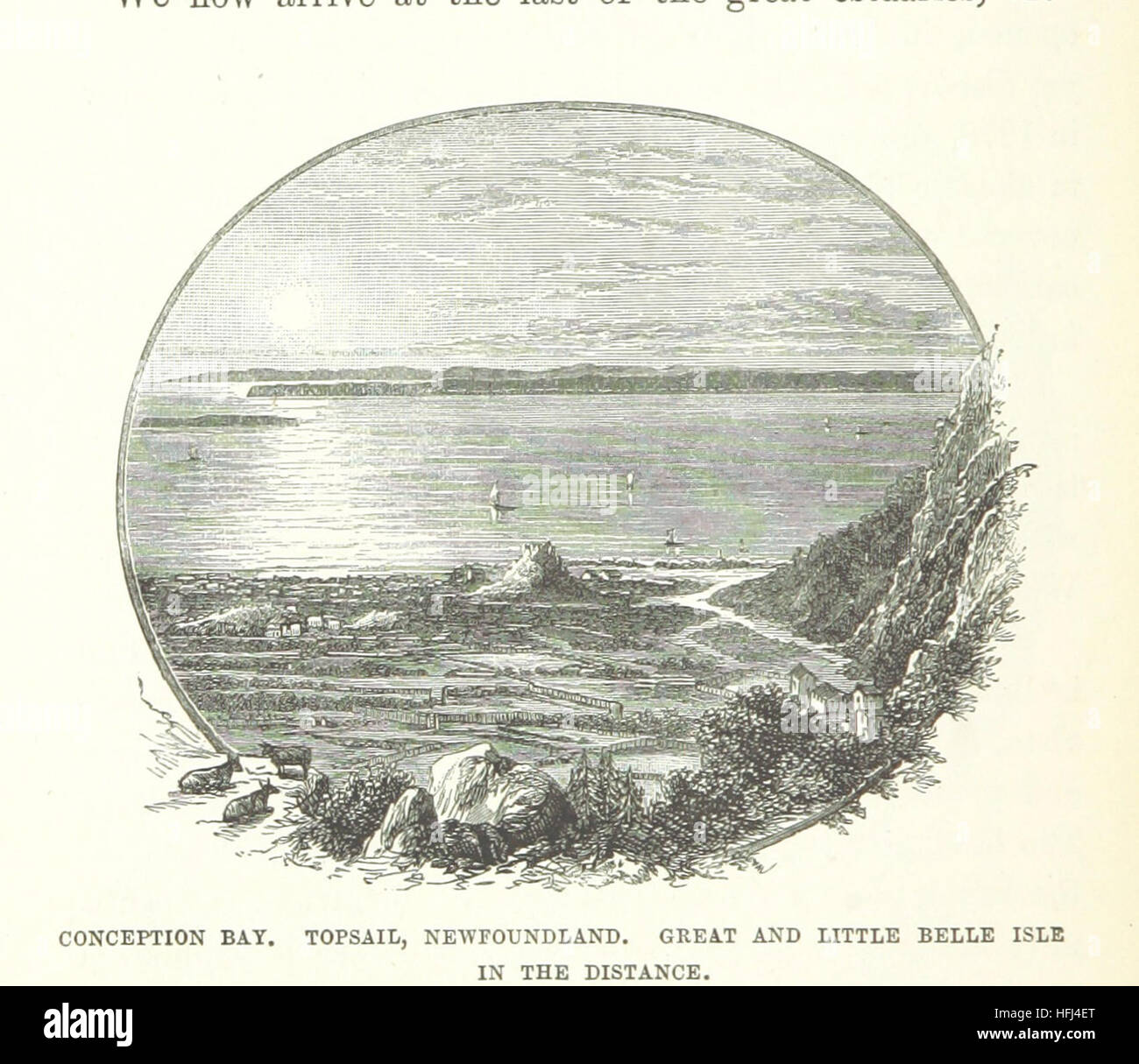 An illustration from 'Newfoundland: Its History, Present Condition, and ...