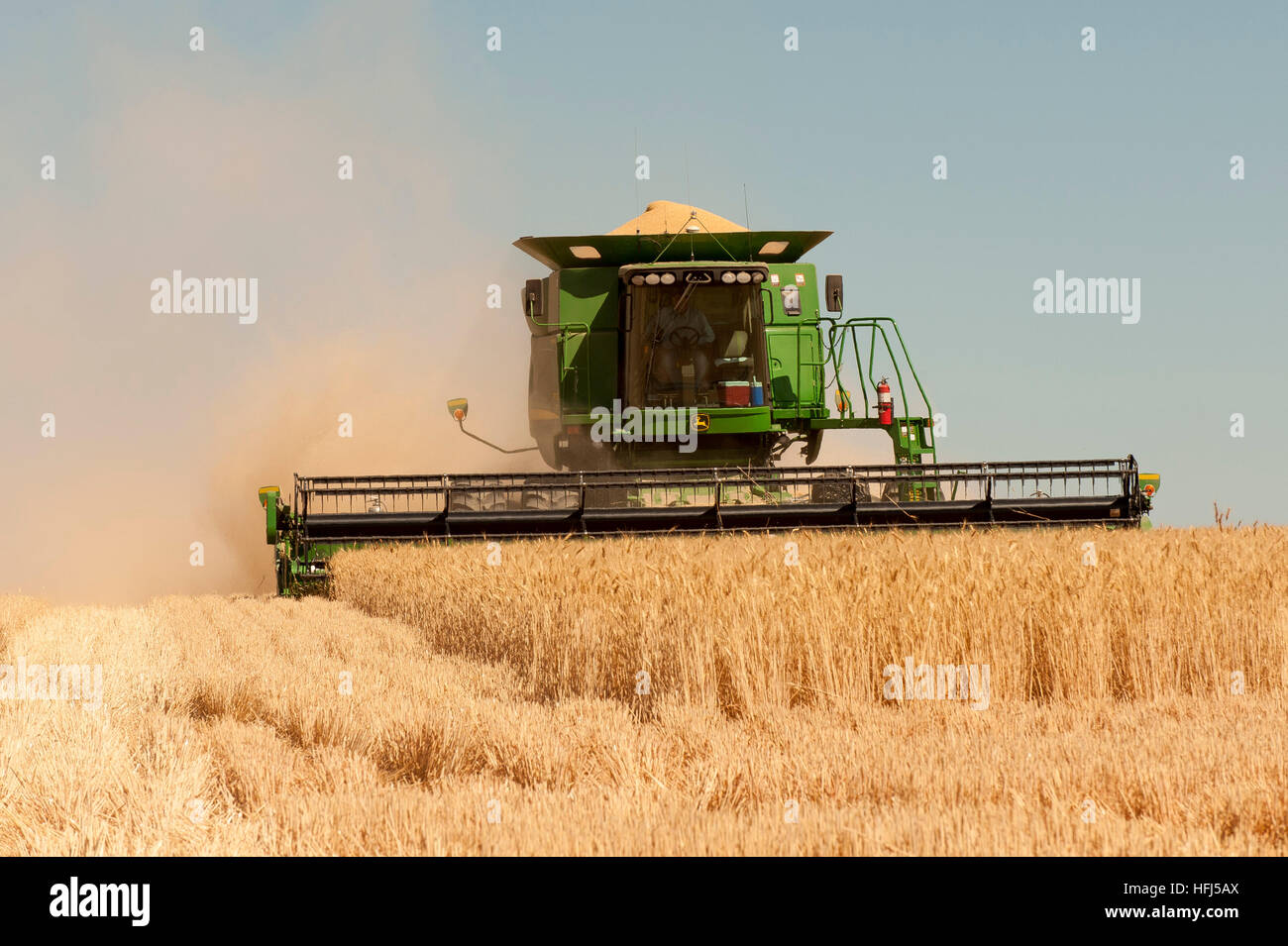 Crop harvesting with modern farm equipment Stock Photo - Alamy