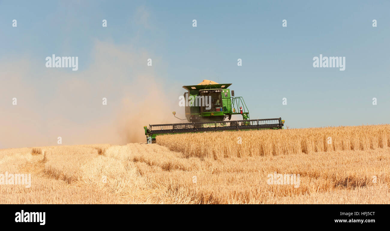 Crop harvesting with modern farm equipment Stock Photo - Alamy