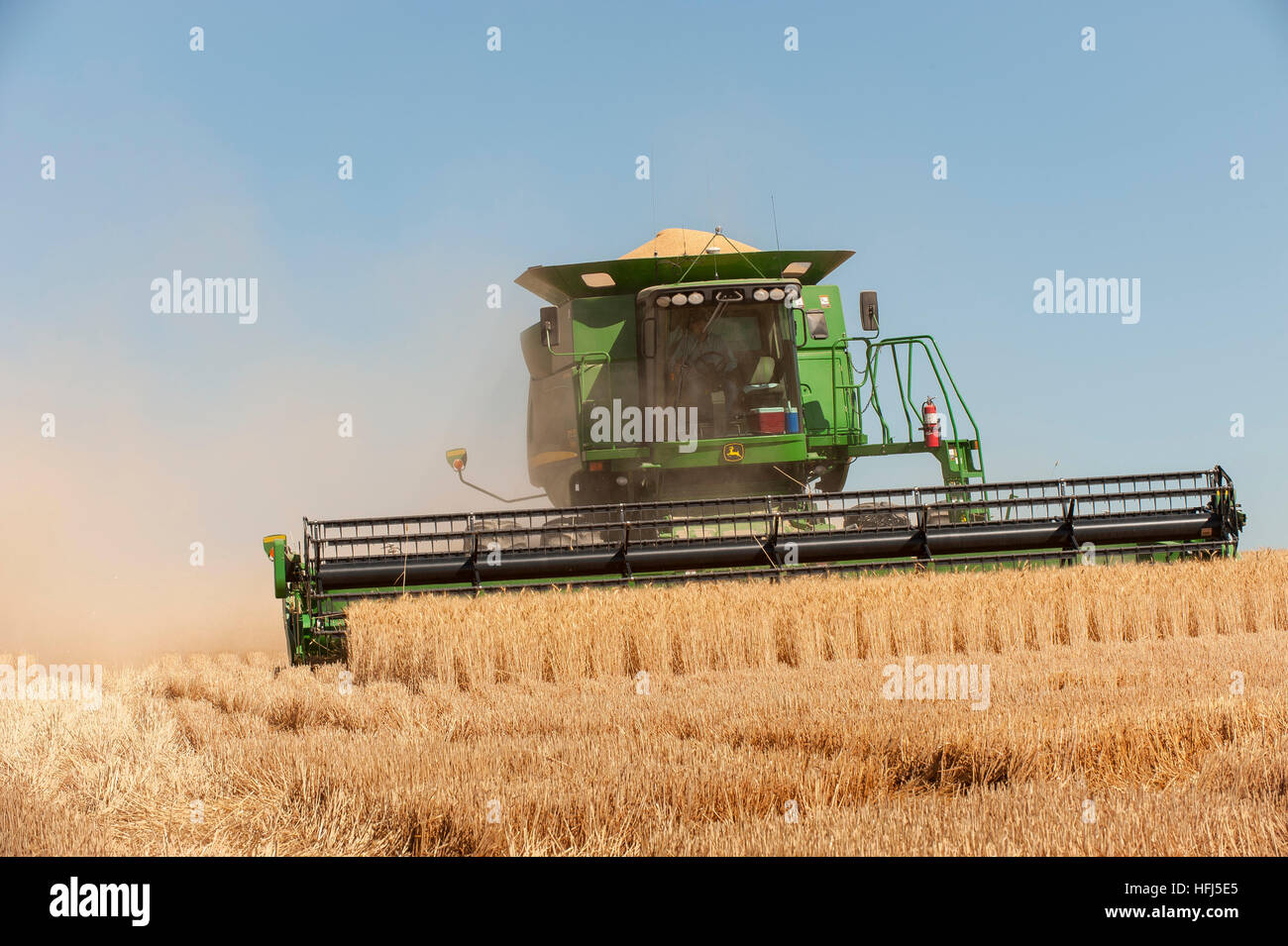 Crop harvesting with modern farm equipment Stock Photo - Alamy