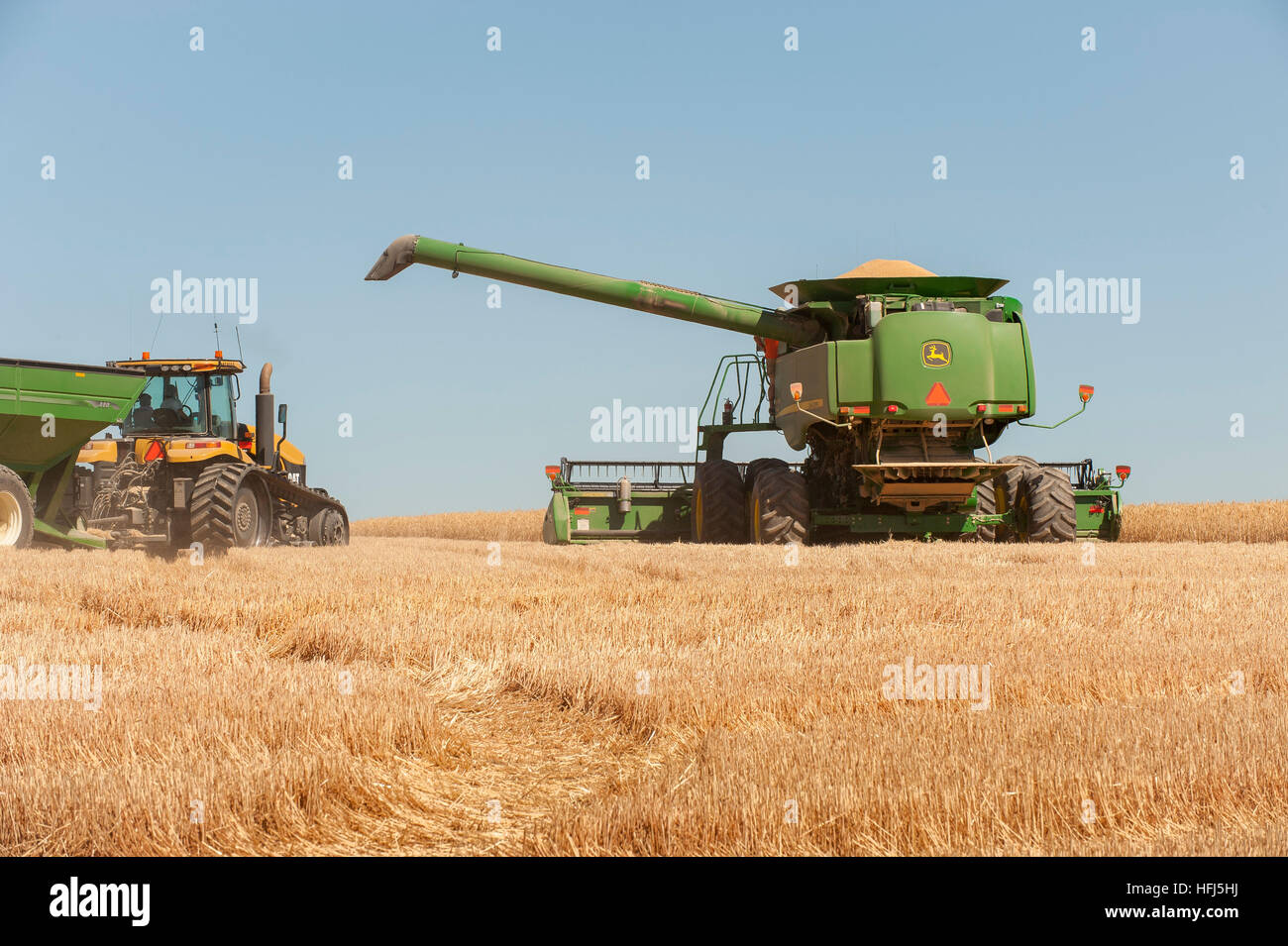 Crop harvesting with modern farm equipment Stock Photo - Alamy