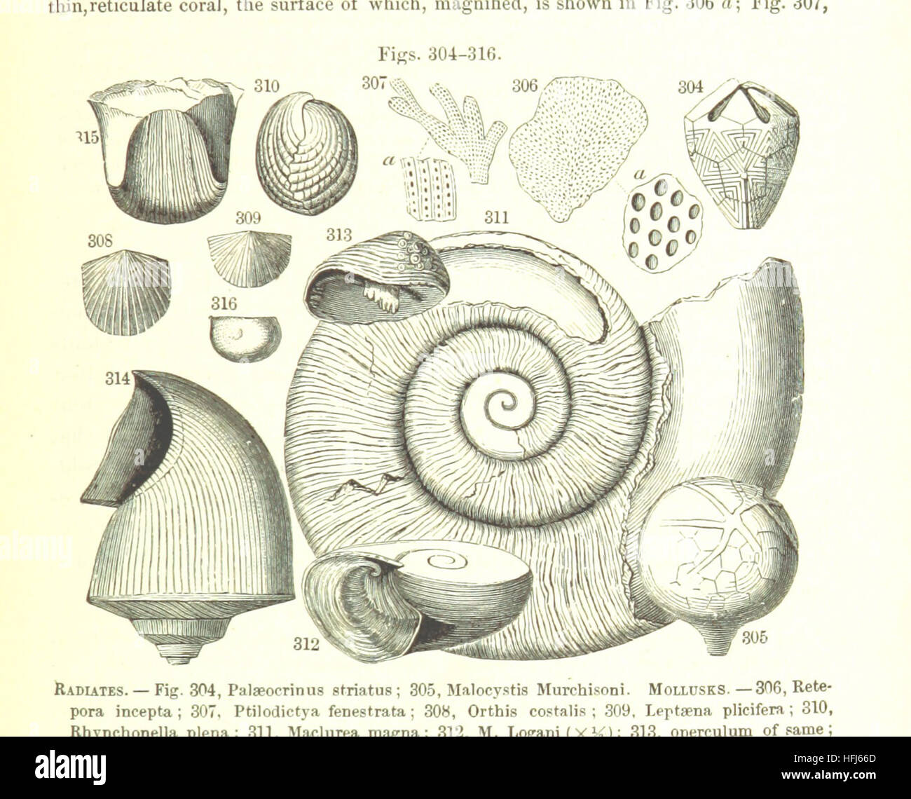 This image from the 'Manual of Geology' explains the principles of ...