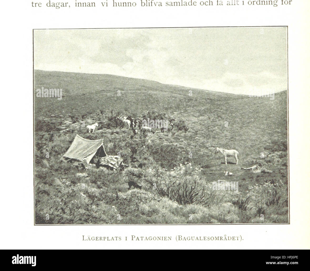 1895 map medium page hi-res stock photography and images - Alamy