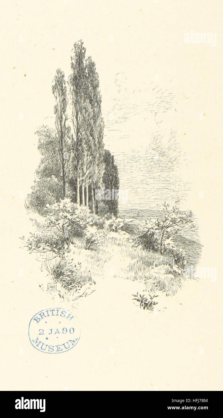 A visual depiction from 'The Quiet Life' illustrating a serene ...