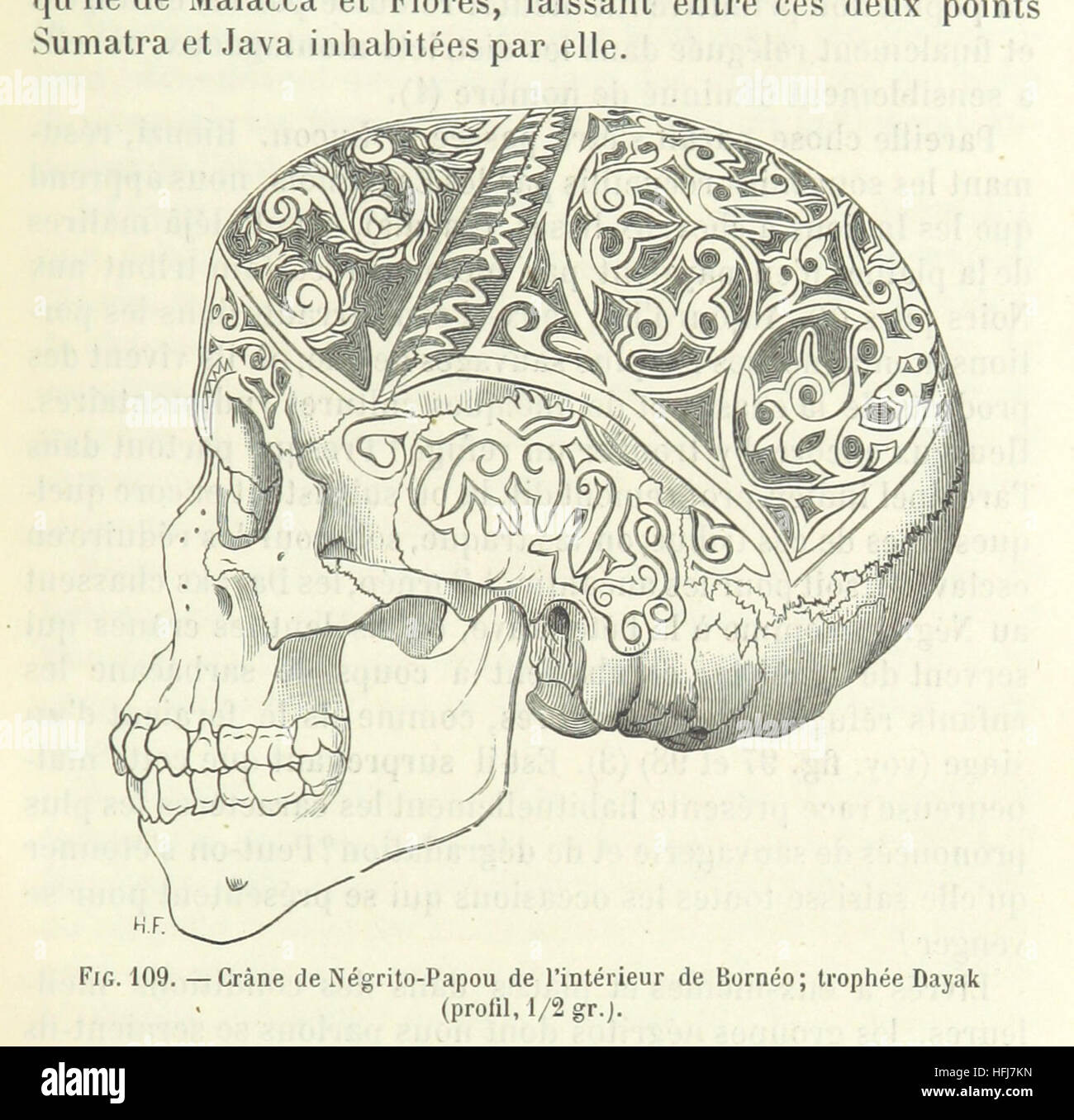 This image is from 'Hommes fossiles et hommes sauvages', a work on ...