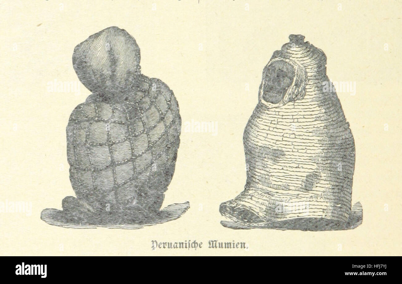 *Der Mensch, sein Ursprung, seine Rassen und sein Alter* explores human origins, the development ...