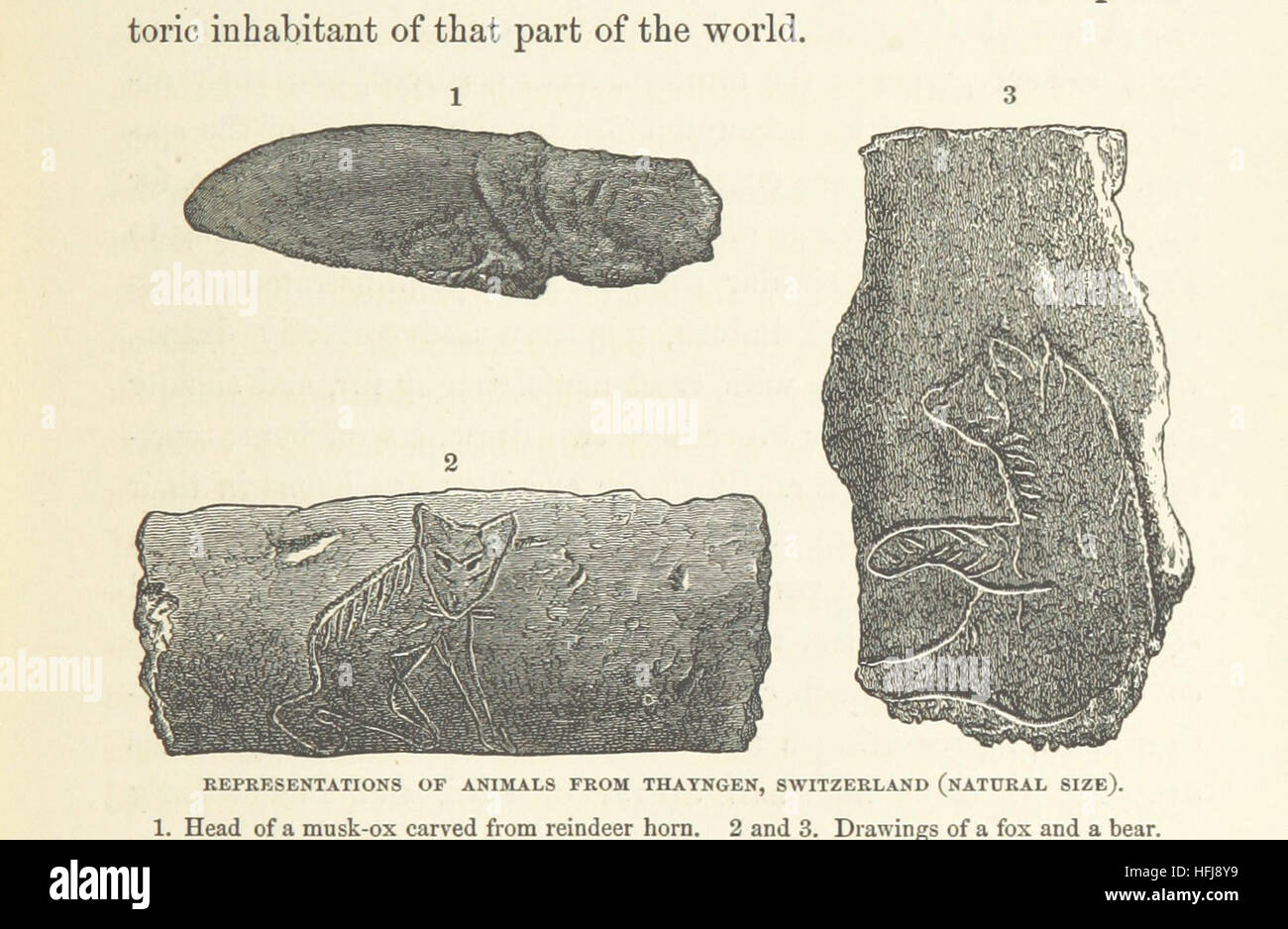 An illustrated work focusing on the early history of human settlements ...