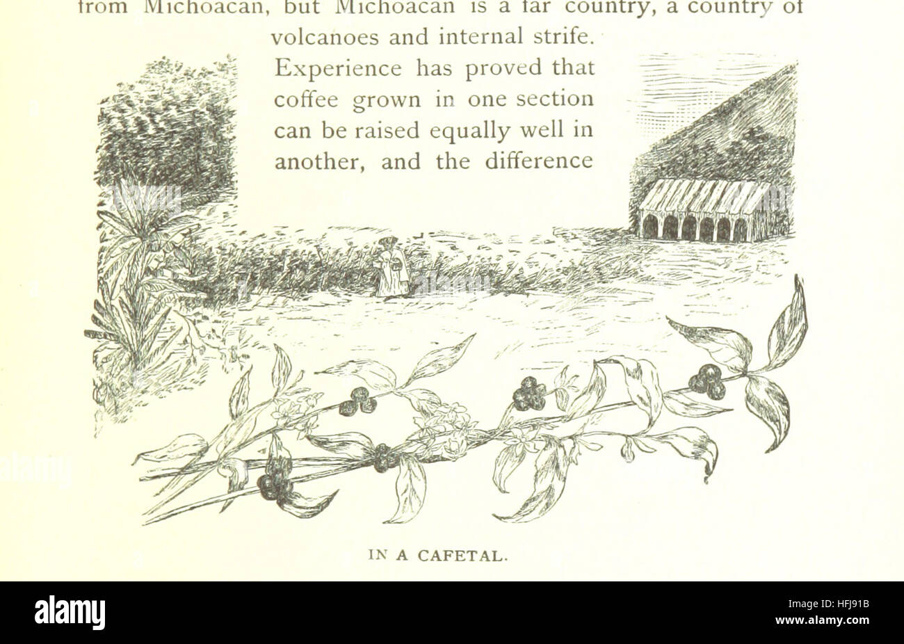 This book recounts the author's experiences and observations in Mexico ...