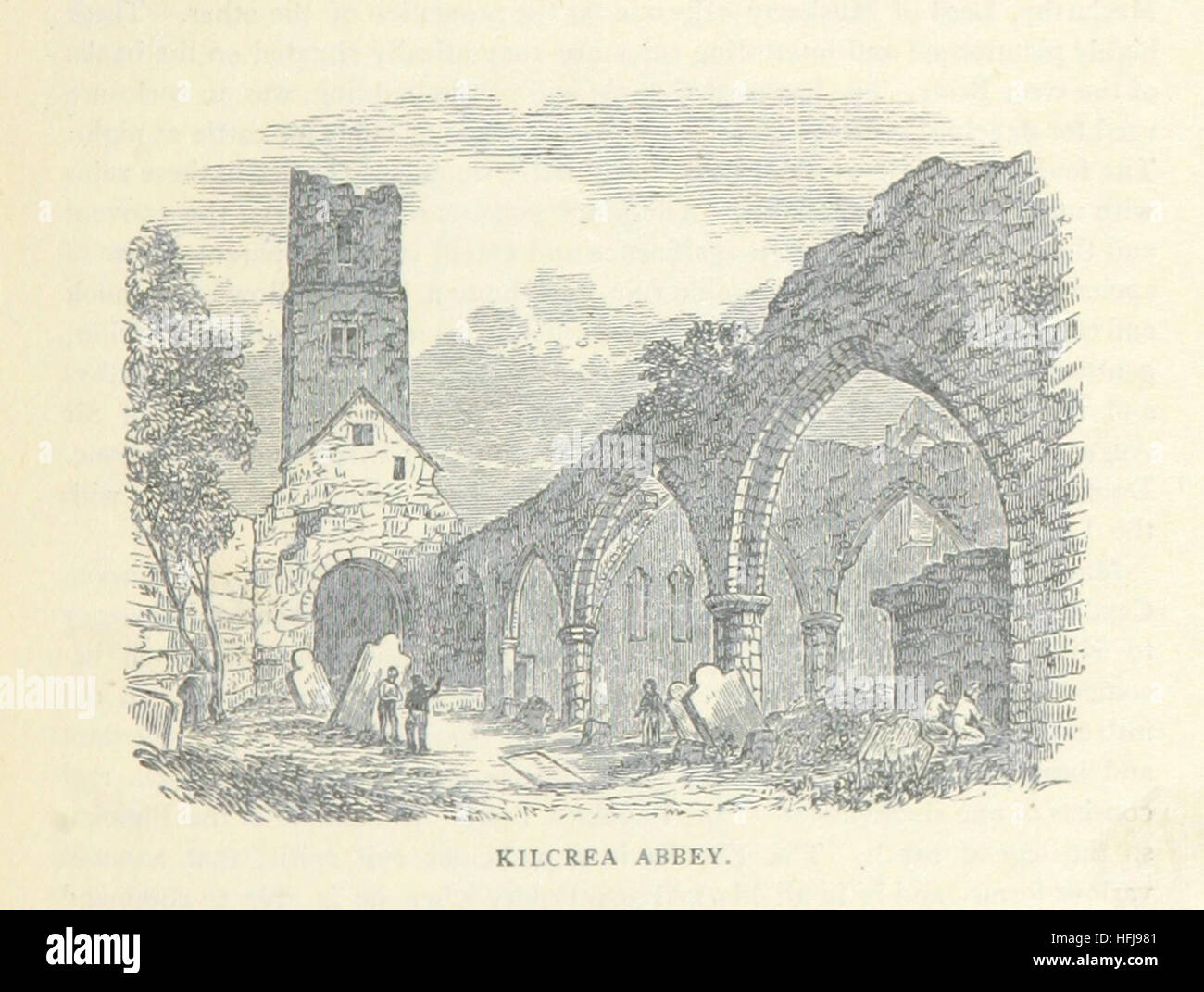 This guide offers a pictorial and descriptive account of the southern ...