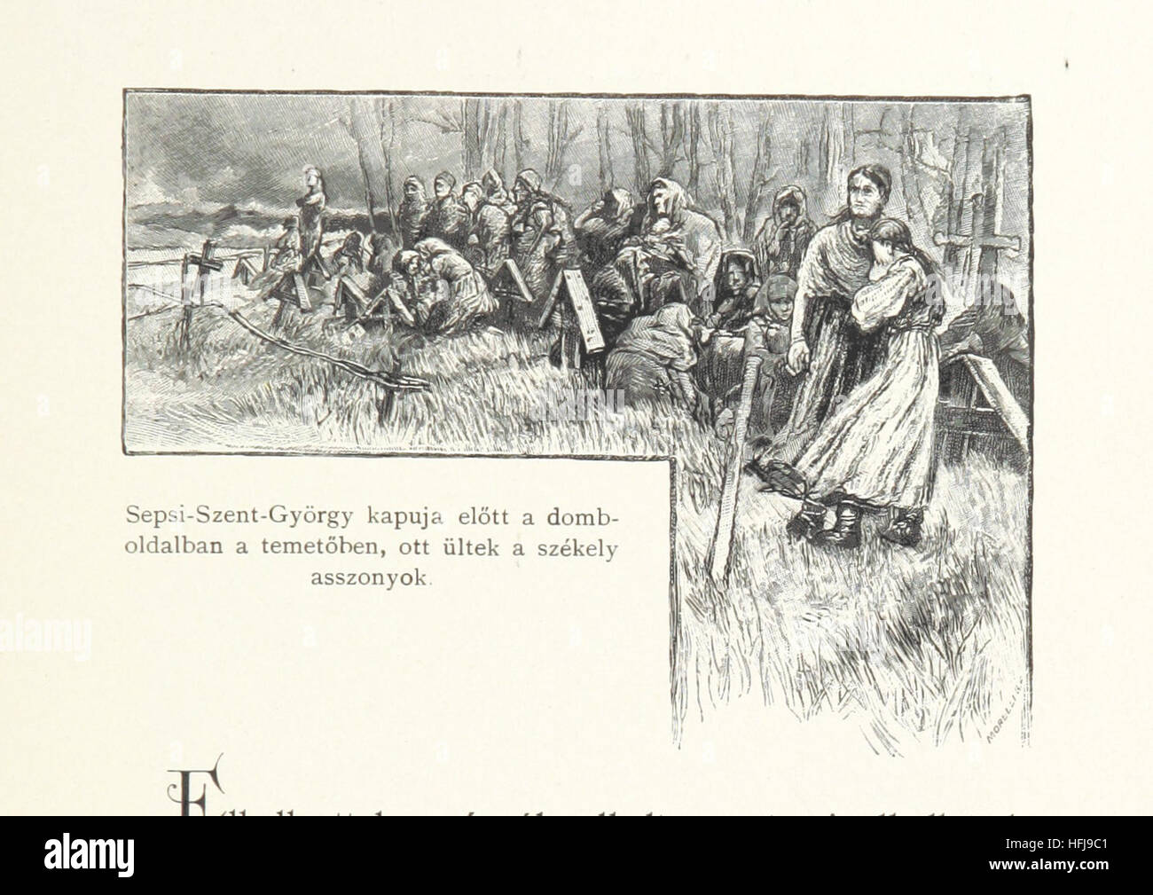 Illustrated edition of Csatakepek, showcasing Hungarian freedom fight ...