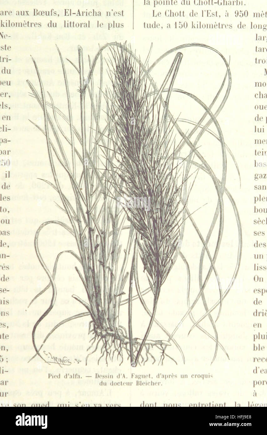 An image from 'La France et les Colonies' on page 219, illustrating ...