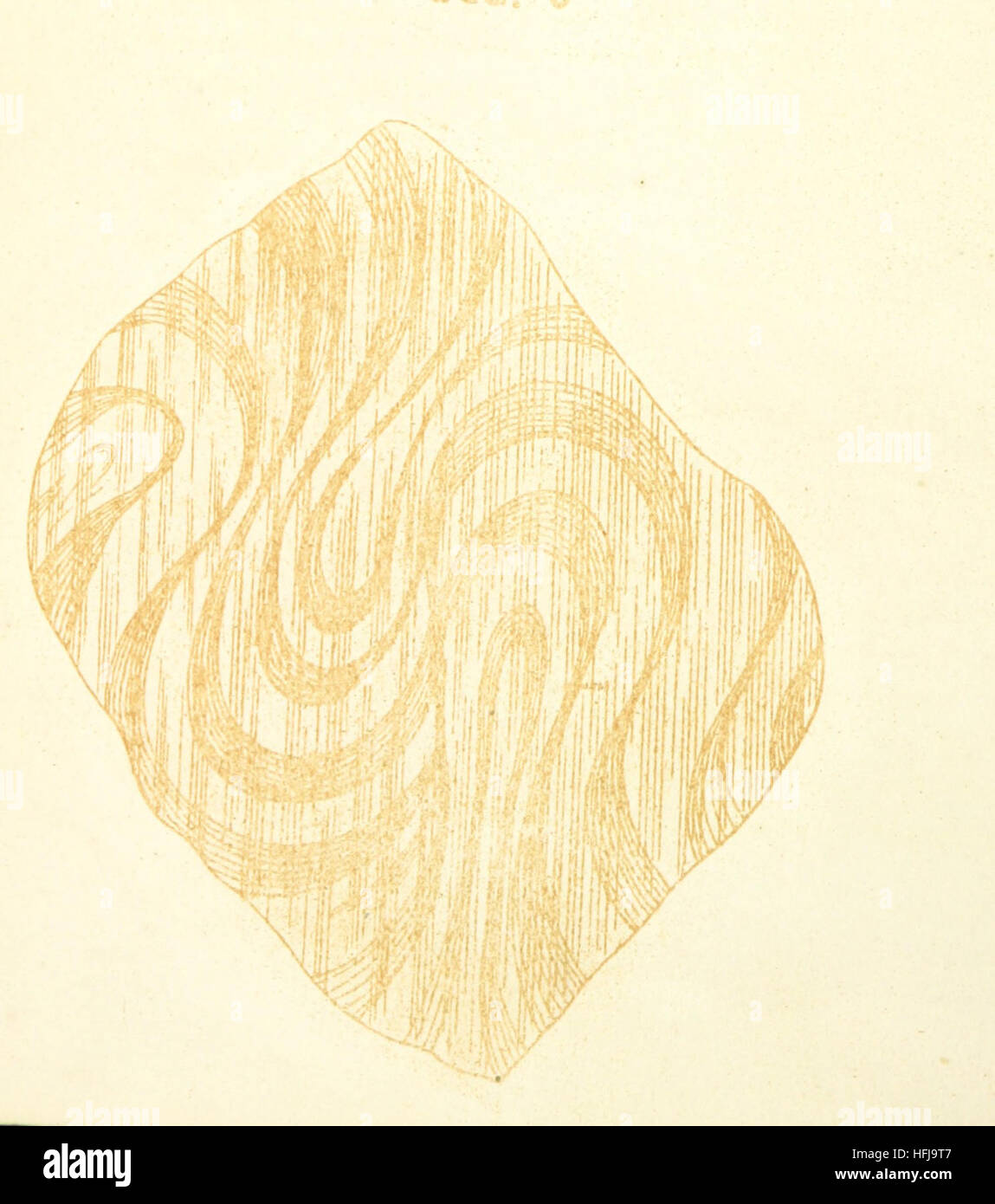 This report provides detailed findings on the Kolar Gold Field ...