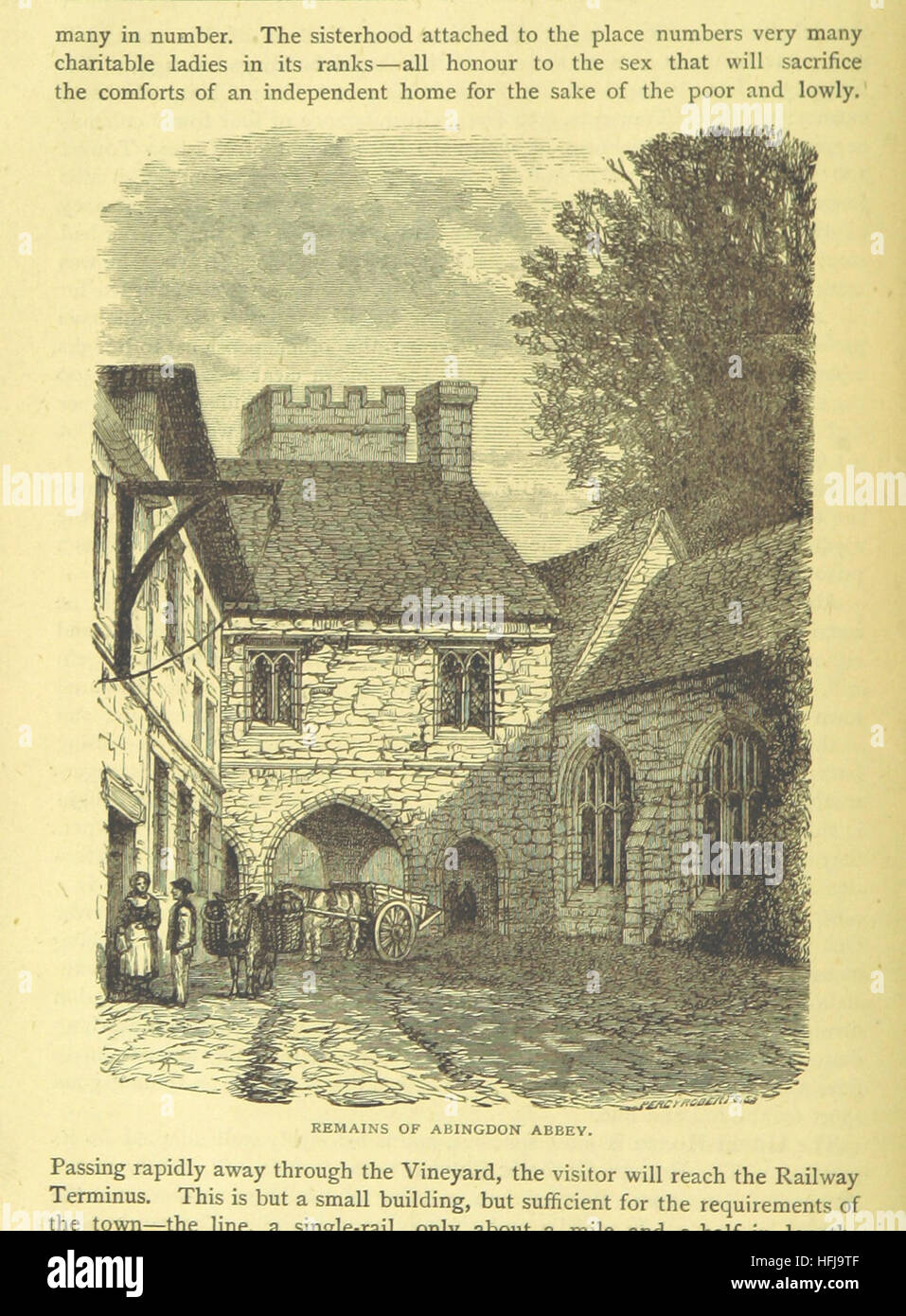 A collection of practical and accessible handbooks offering a variety ...