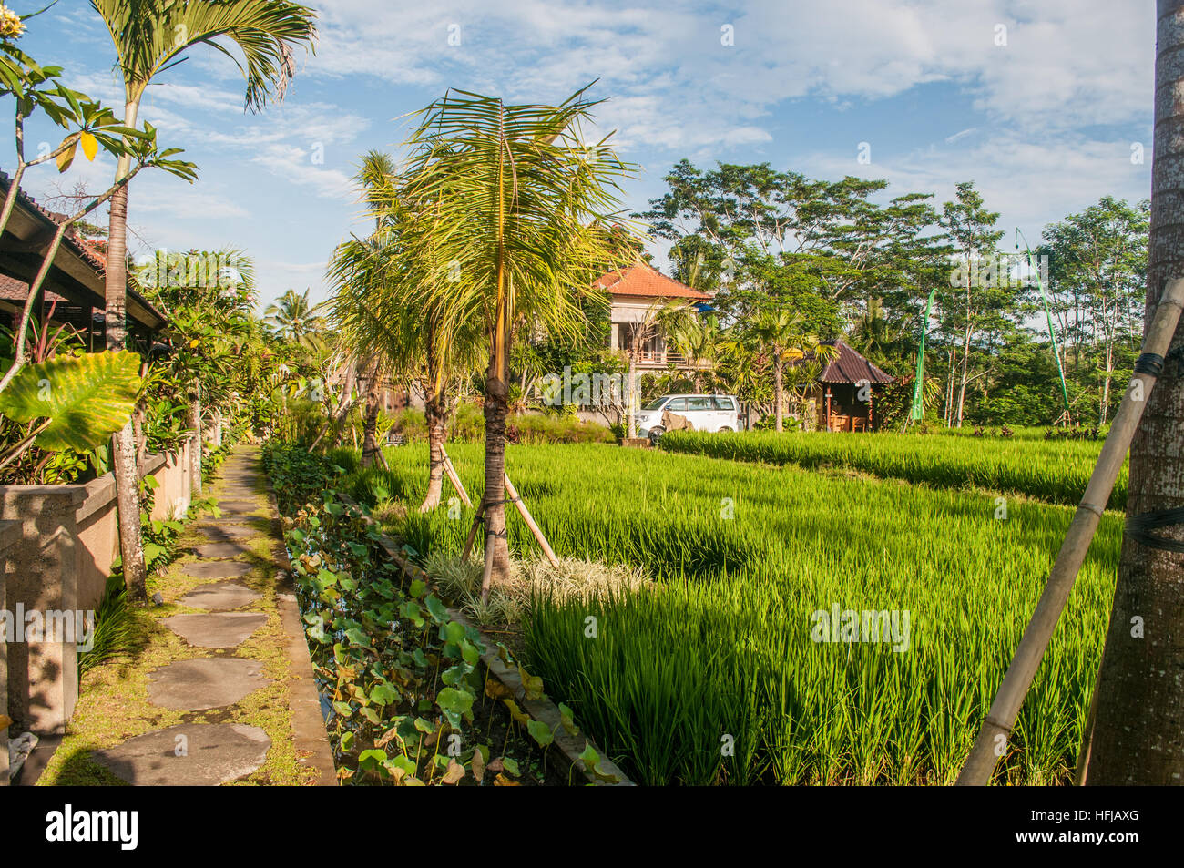 Cottage view in Ubud, Bali, Indonesia Stock Photo - Alamy