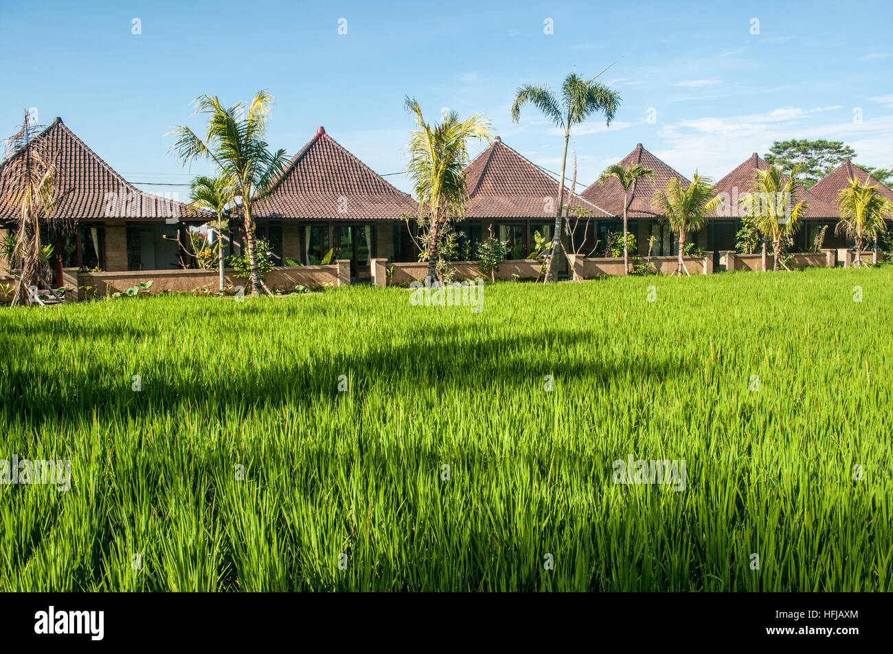 Cottage view hi-res stock photography and images - Alamy