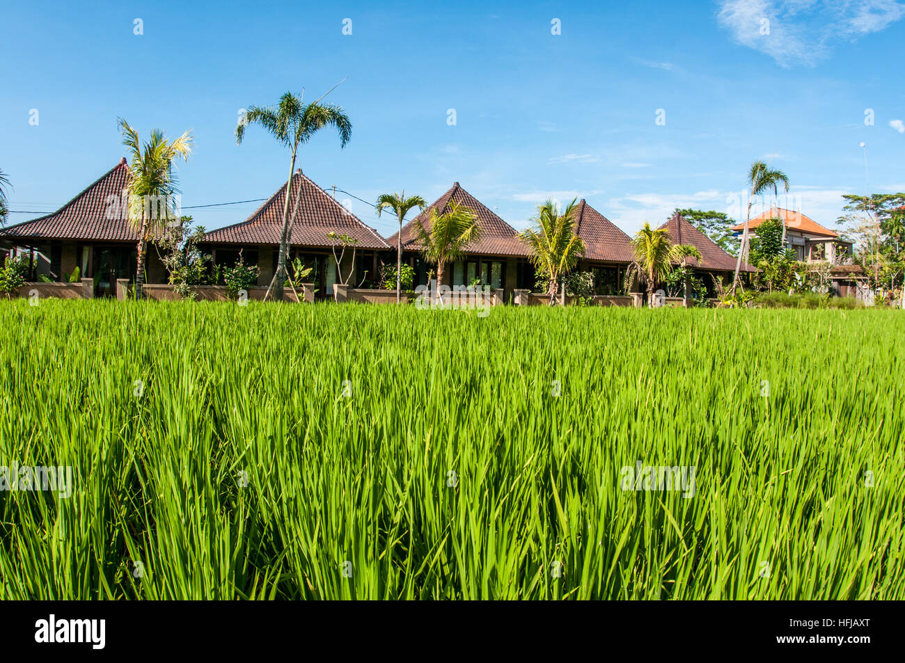 Cottage view in Ubud, Bali, Indonesia Stock Photo - Alamy