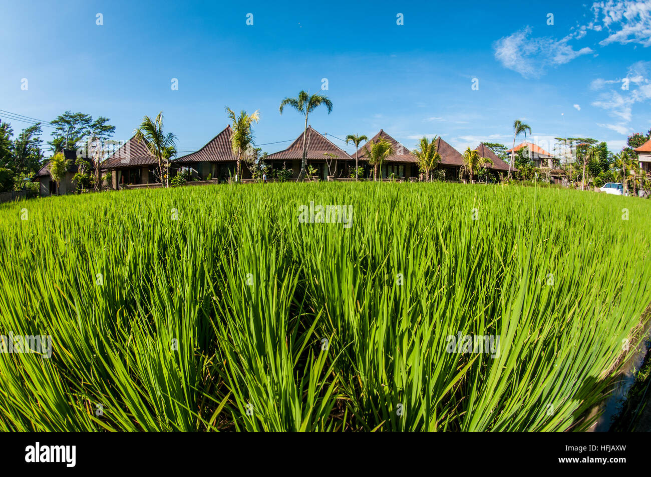 Cottage view in Ubud, Bali, Indonesia Stock Photo - Alamy