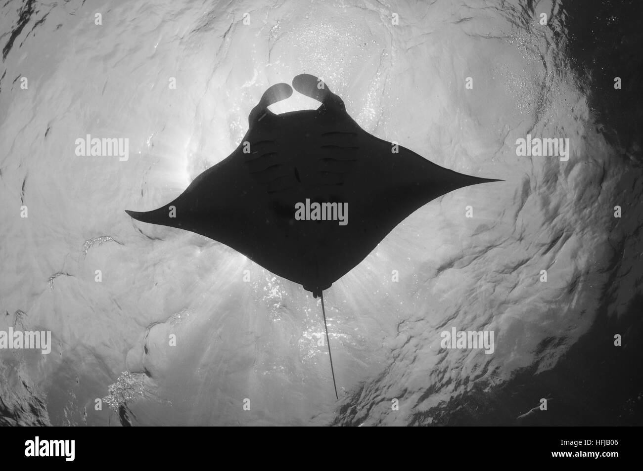 Indonesia pacific ocean Black and White Stock Photos & Images - Alamy