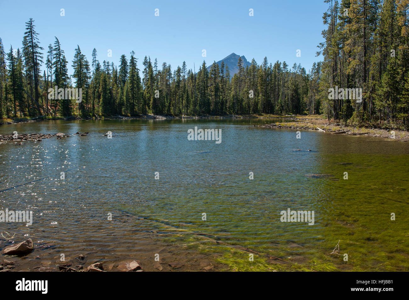 Oregon's Mount McLoughlin as seen from Lake Bernice, late summer Stock ...