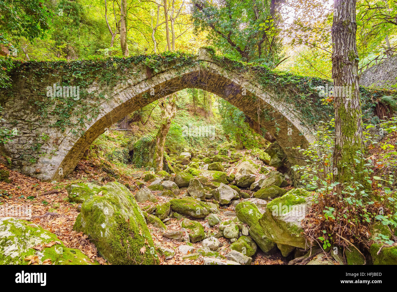 Old arched stoned bridge in Tsagarada and one of the most beautiful ...