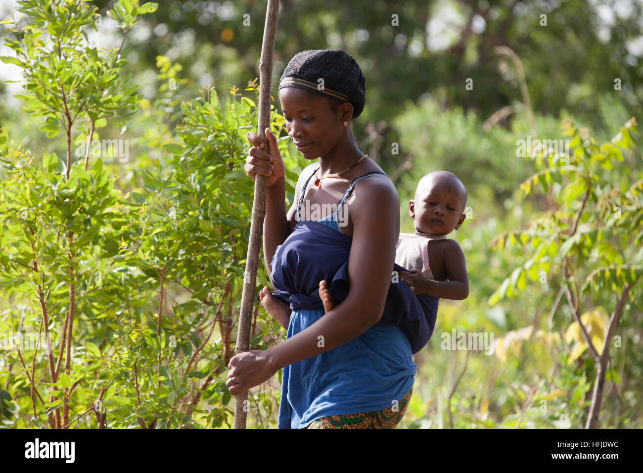 Mango tree in african village hi-res stock photography and images - Alamy