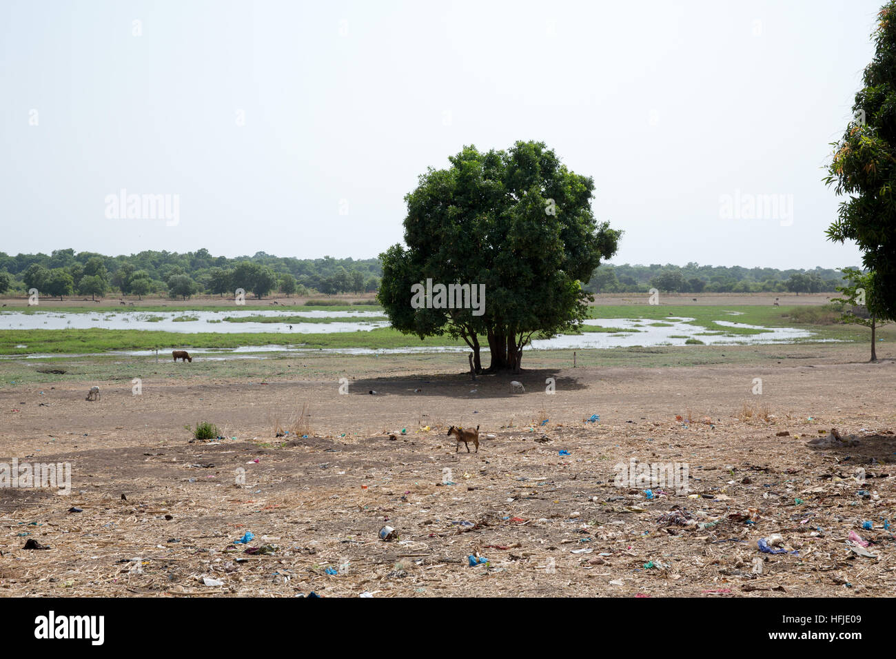 Baro lake hi-res stock photography and images - Alamy