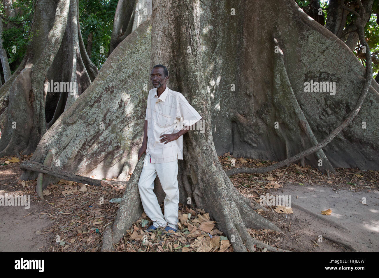 Baro village, Guinea, 1st May 2015: This small copse of ancient ...