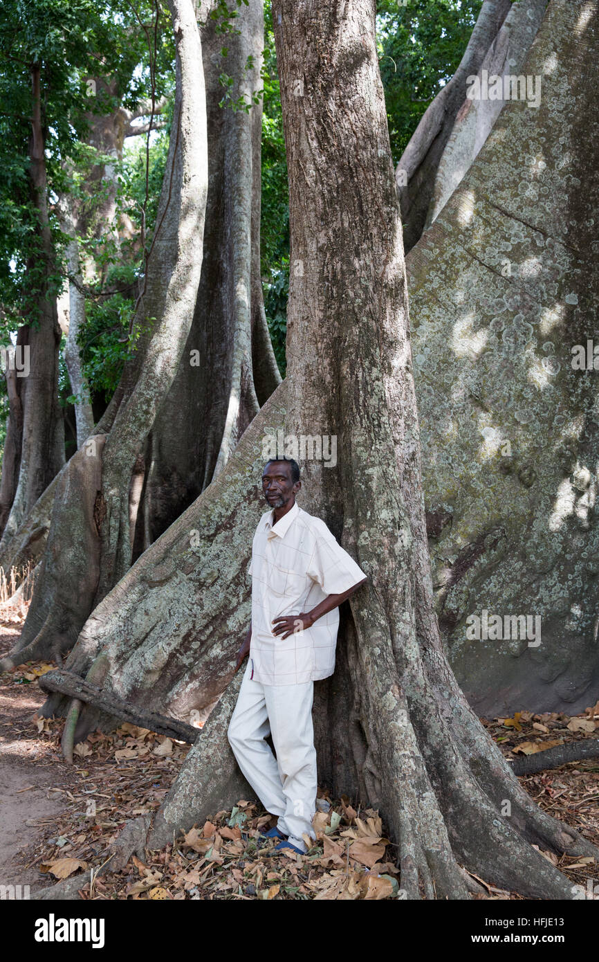 Baro village, Guinea, 1st May 2015: This small copse of ancient ...