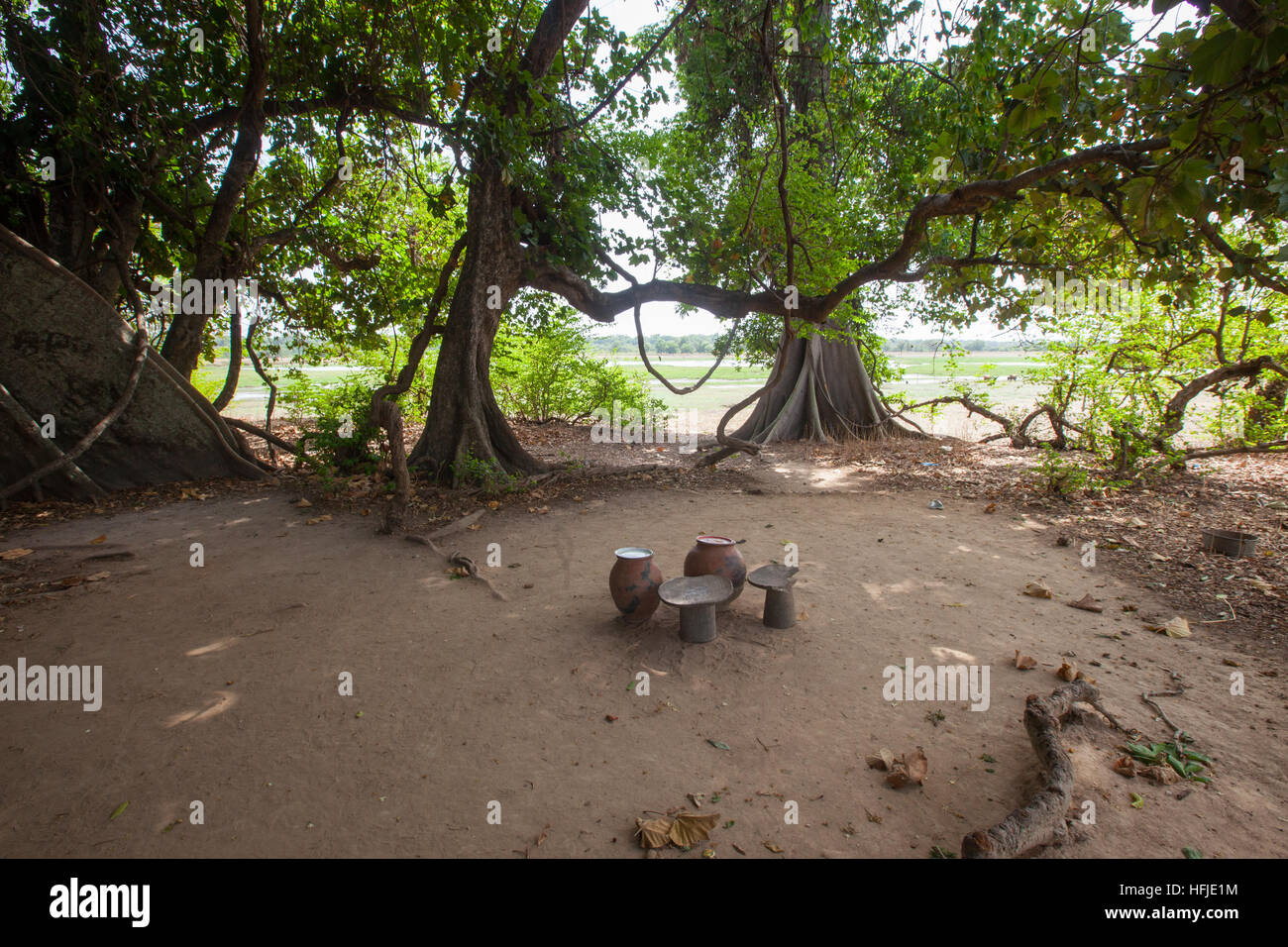 Kapok tree africa hi-res stock photography and images - Alamy