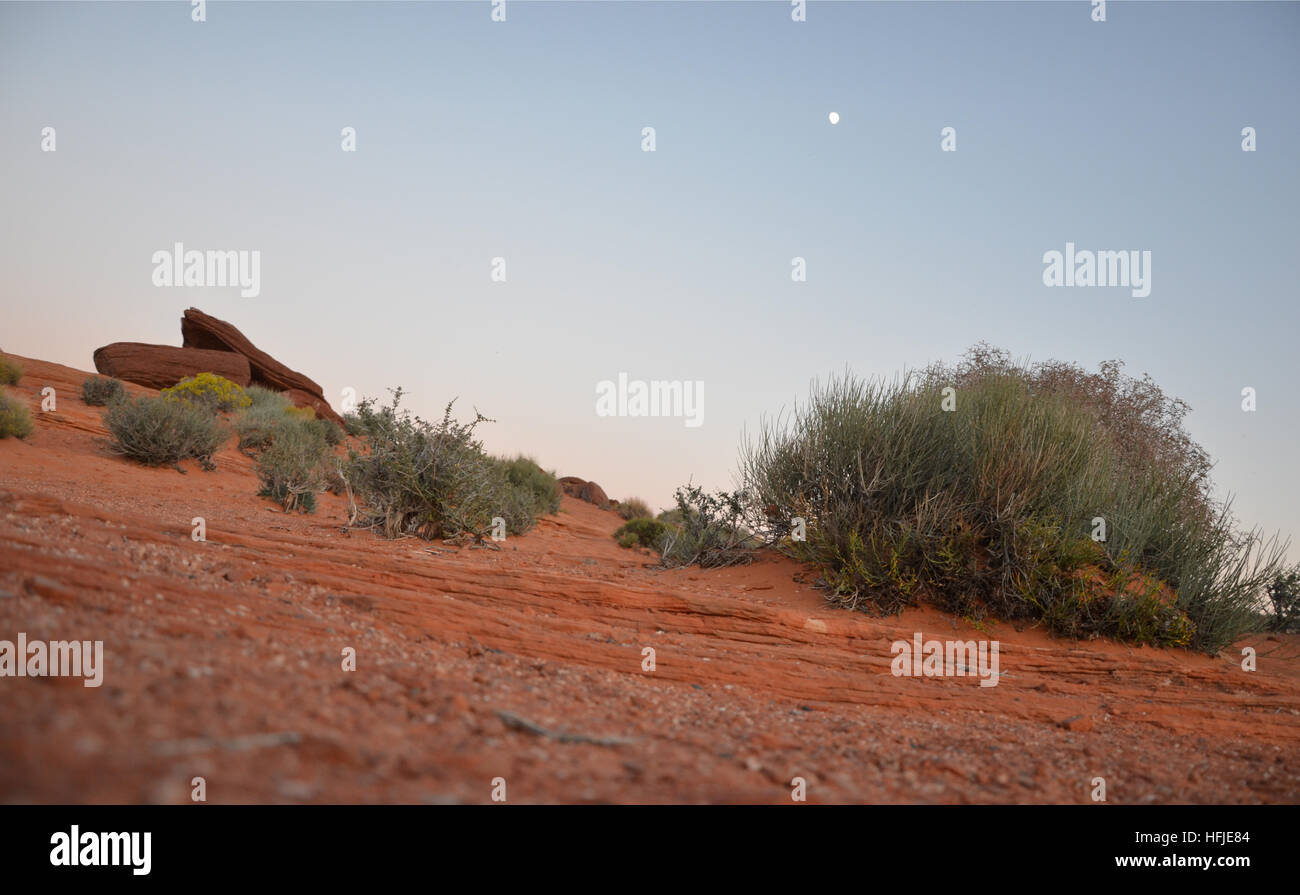 Red sand arizona hi-res stock photography and images - Alamy