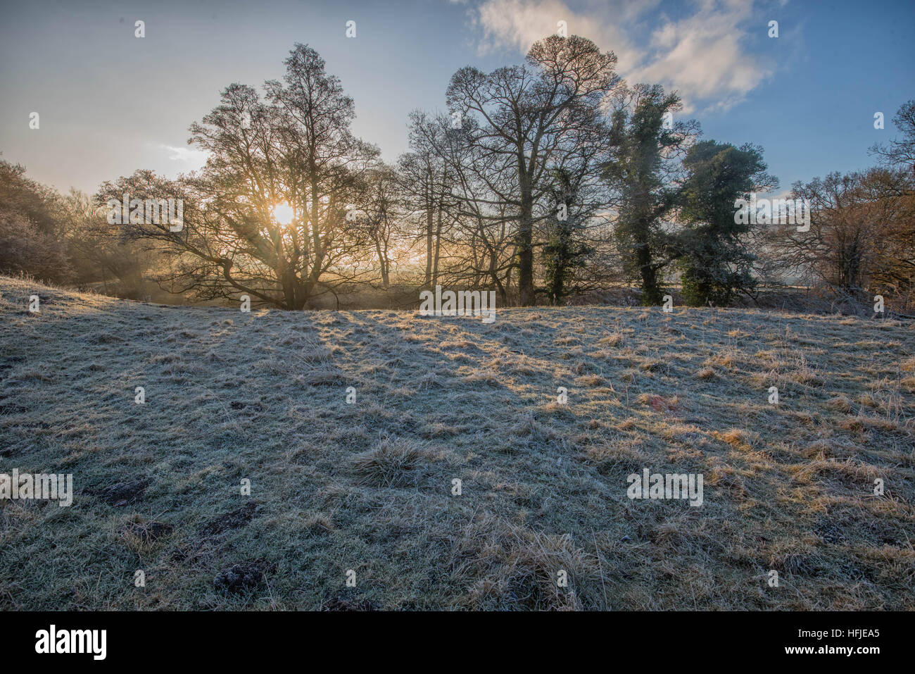Morning of hope hi-res stock photography and images - Alamy
