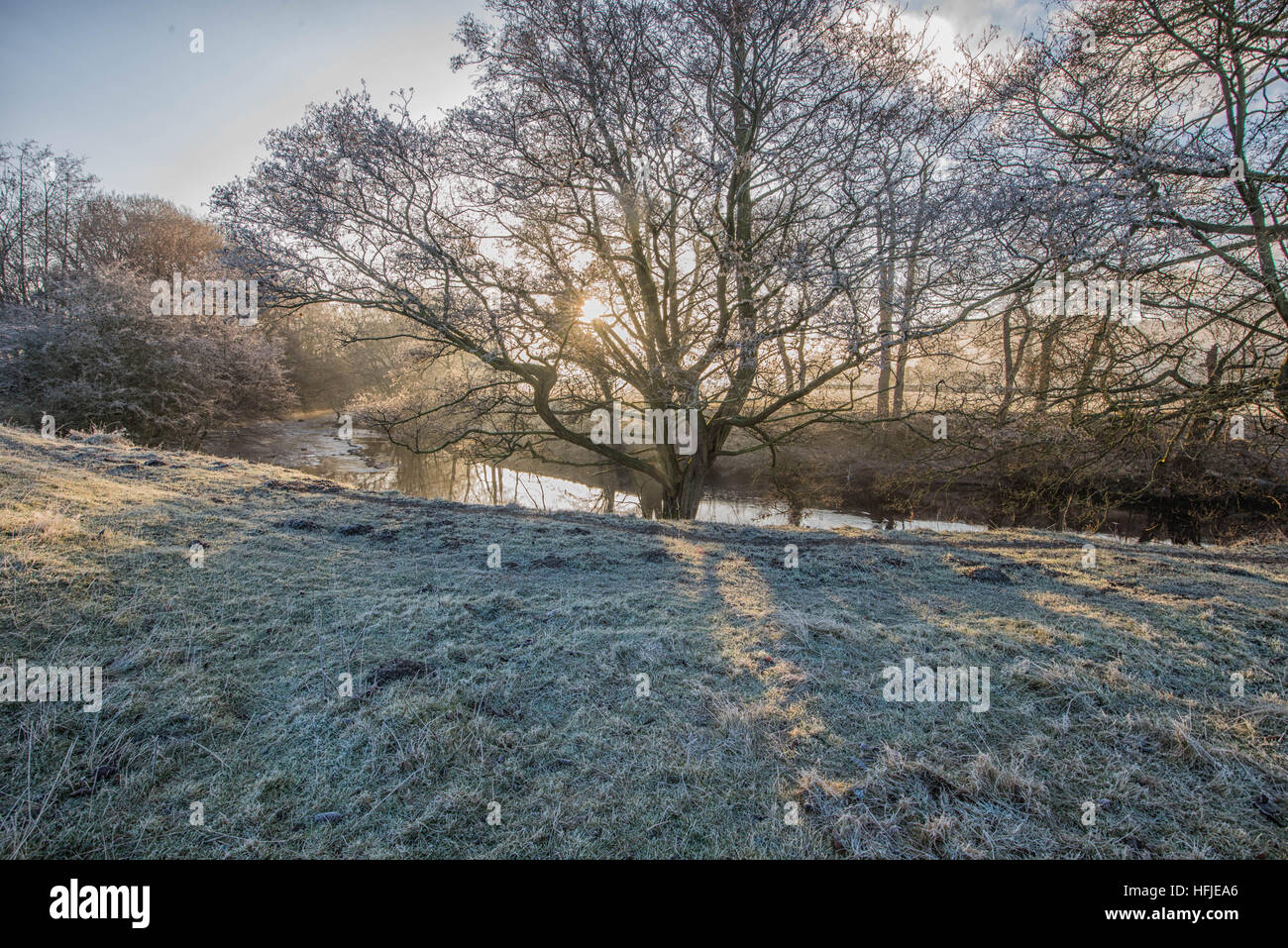 Rising mist stream river hi-res stock photography and images - Alamy