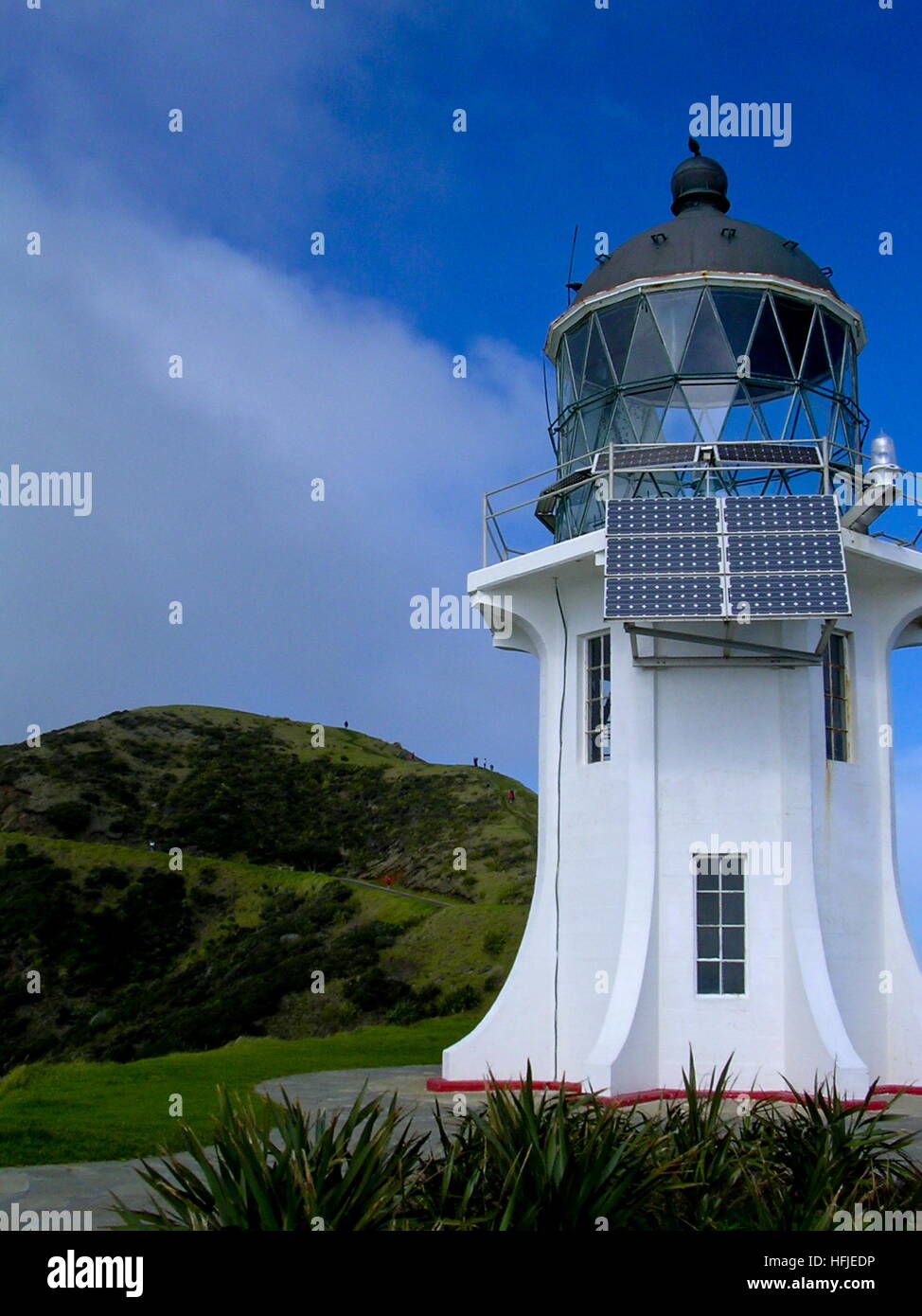 New Zealand's iconic northernmost tip Stock Photo - Alamy