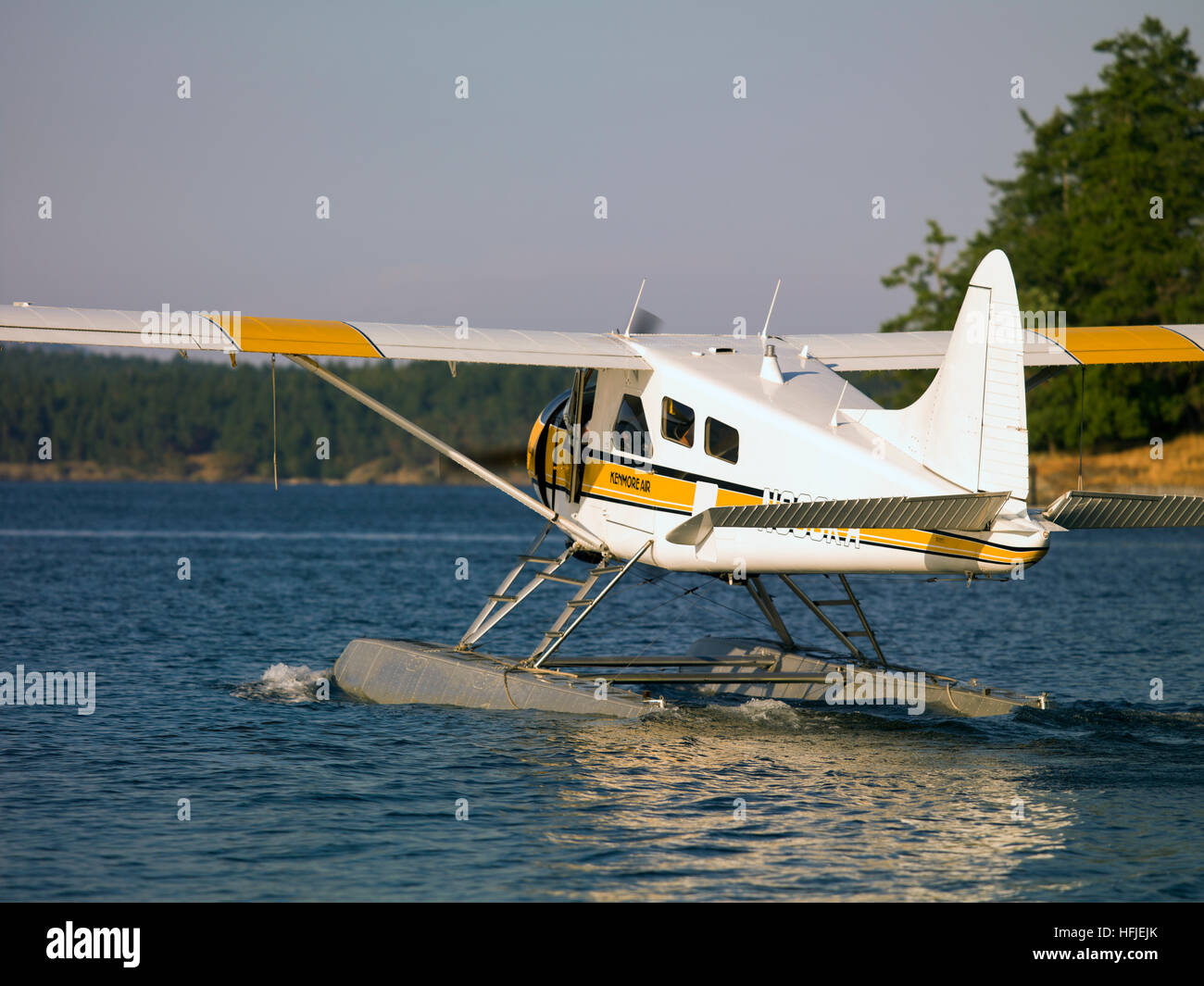 Beaver float plane hi-res stock photography and images - Alamy
