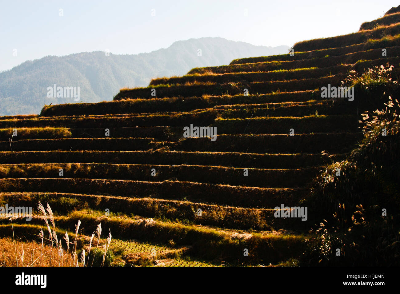 Local Village in China Stock Photo - Alamy