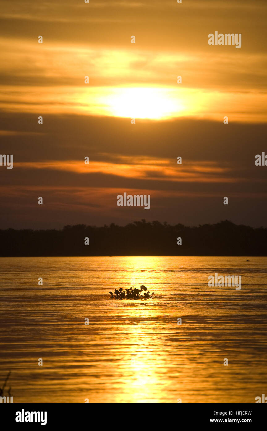 sunset at the river Stock Photo - Alamy