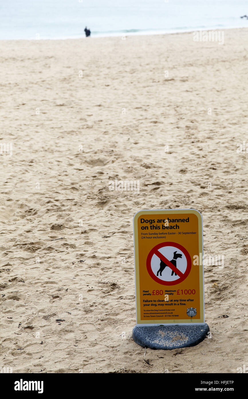 Are Dogs Banned On Beaches