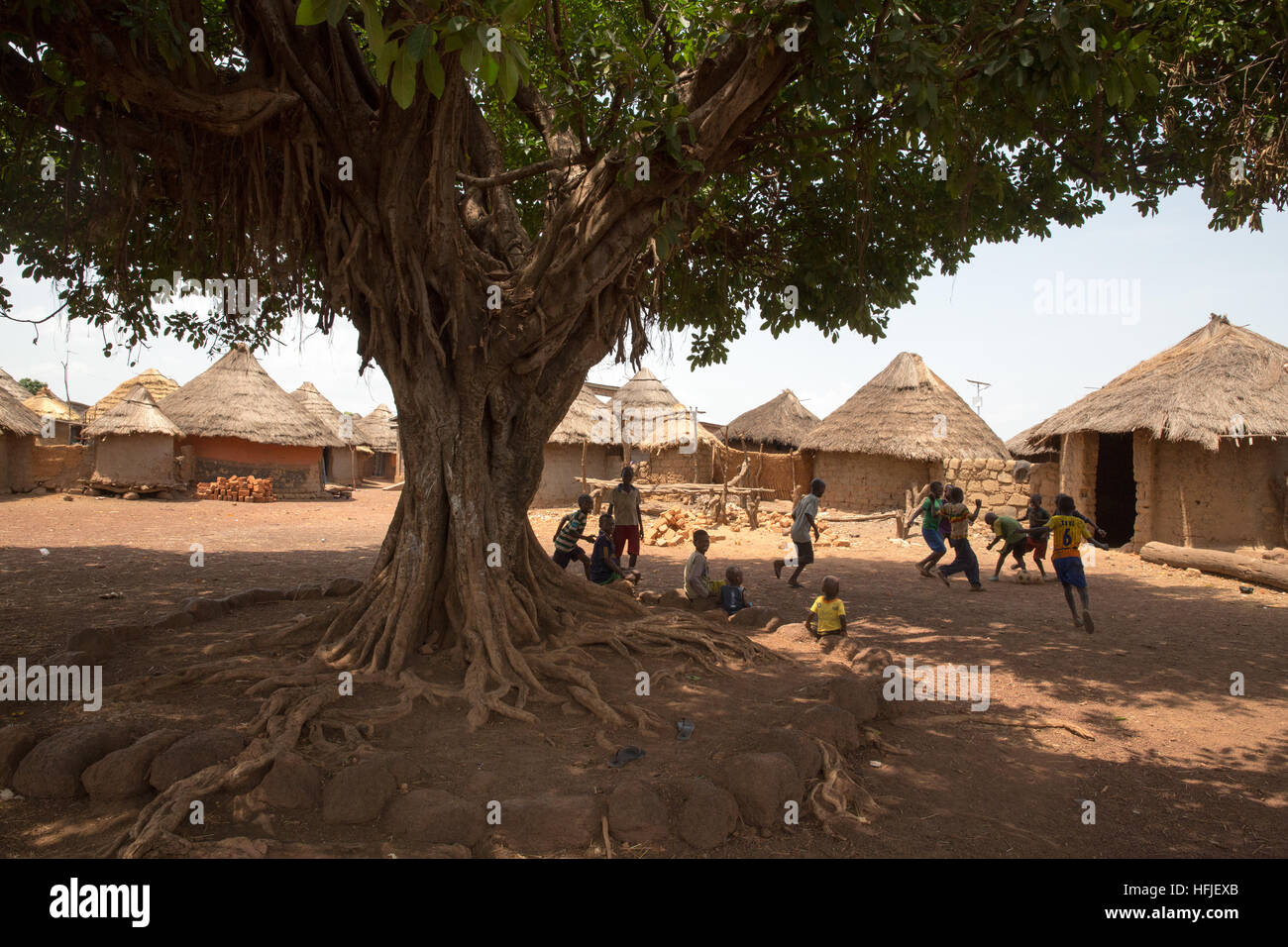 African village life rural africa west guinea tree hi-res stock ...